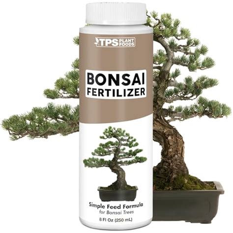 Top 5 Fertilizer For Bonsai Your Essential Guide