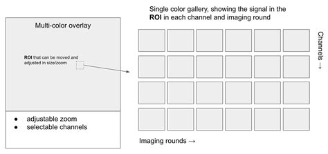 Visualisation Of Spatial Omics Data Image Analysis Imagesc Forum