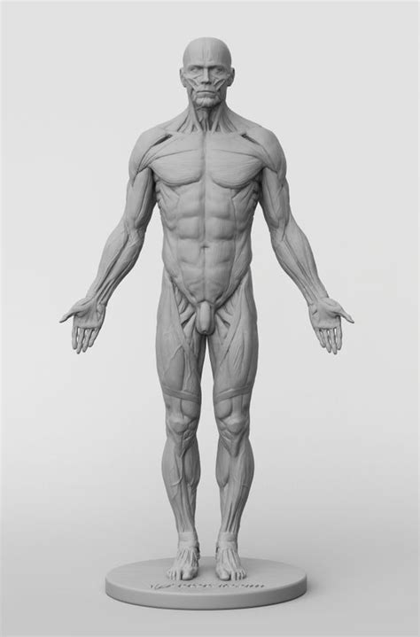 900 개의 기초디자인 아이디어 2024 질감 그림 미술 구도