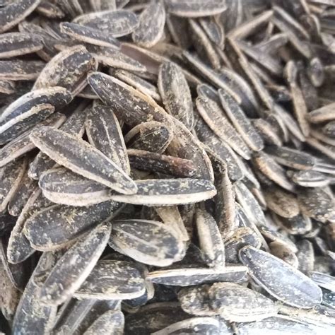 خرید آنلاین آجیل خرید اینترنتی آجیل ۱۴۰۳ آجیل فروشی گلچین