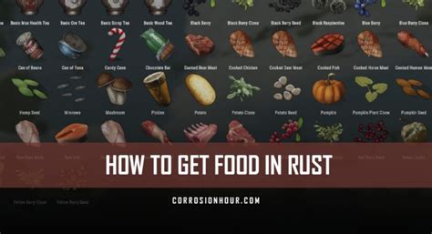 How To Get Food In RUST Farming Foraging Hunting More Deer Meat Types Of Berries How
