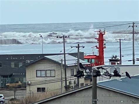 能登半島地震関連 新潟県内のインフラ復旧に政府が91億円支援 被災の直江津、両津、小木港の埠頭復旧に特例補助47news（よんななニュース）