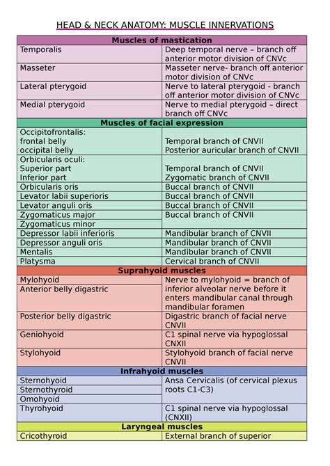 Head And Neck Anatomy Muscle Innervations Head And Neck Anatomy Muscle