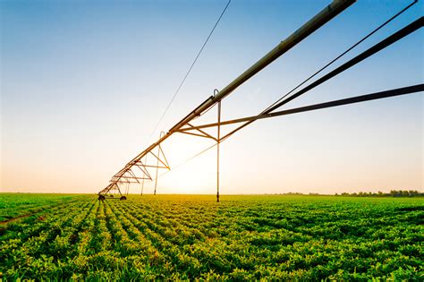 Impact Of R Stage Timed Single Irrigation Events On Soybean Seed Number And Seed Mass Unl