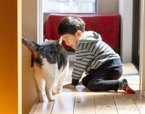长期养猫的人和不养猫的人，寿命谁更长？ 知乎