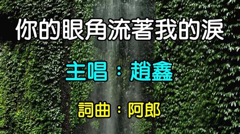 你的眼角流著我的淚 趙鑫 Youtube