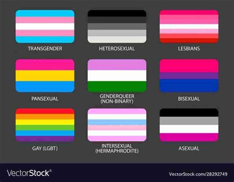 Set Of Lgbt Pride Flags Gays Lesbians Asexuals Transsexuals