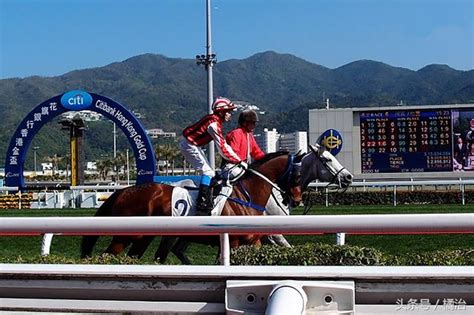 去香港賽馬場，買張馬票看馬兒熱血衝刺，超酷！（內含詳細攻略） 每日頭條