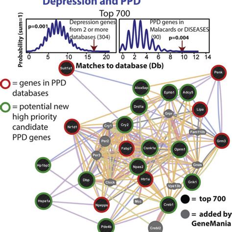 Structures Of Adrenal And Sex Steroids The A Ring Of Estradiol Has A Download Scientific