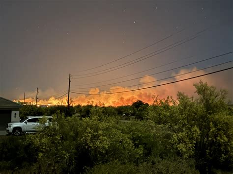 Wildcat Fire Rarizona