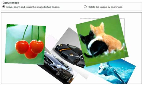 Winforms Gestures And Touch Toolkit Componentone