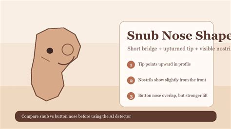 Snub Nose Shape How To Tell If You Have An Upturned Snub Nose