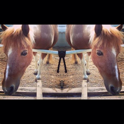 Lilli Bryant Lilli Mai87 Twitter