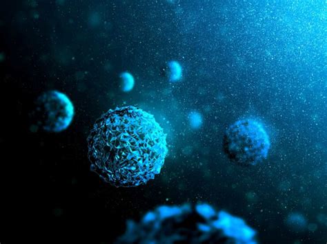 INmune Bio Harnessing Innate Immune System Against Cancer