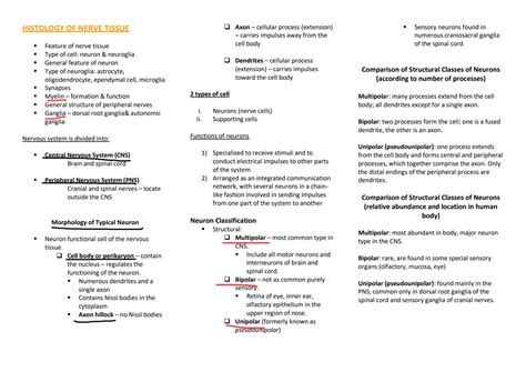 SOLUTION Histology Midterm Reviewer Lec Studypool
