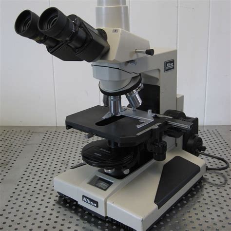 What Is A Phase Contrast Microscope The Interesting Answer Optics Mag