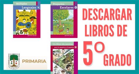 1️⃣ Libros De Texto Gratuitos De Quinto Grado Para Primaria Del Ciclo