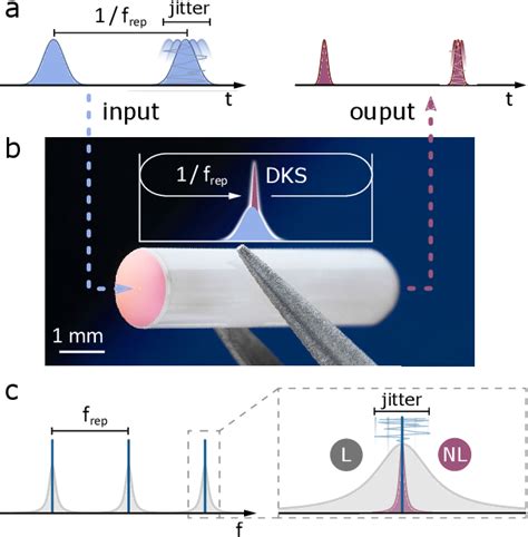 Figure 1 From Nonlinear Filtering Of An Optical Pulse Train Using