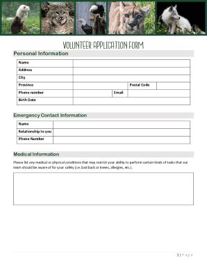 Fillable Online Volunteer Application Form For Non Profit Form Template