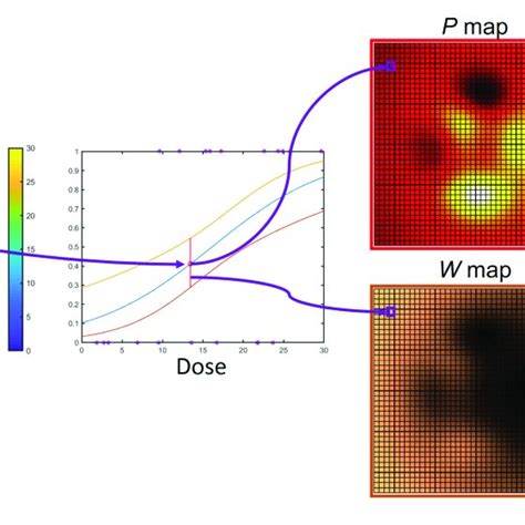 Computation Of Pace Prediction On A Test Patient With Dose Map D 0 Download Scientific