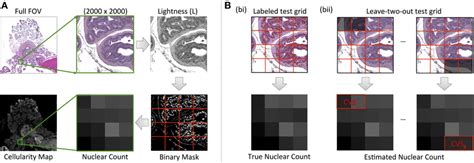 An Illustration Of Our Cellularity Calculation Methodology From Hes
