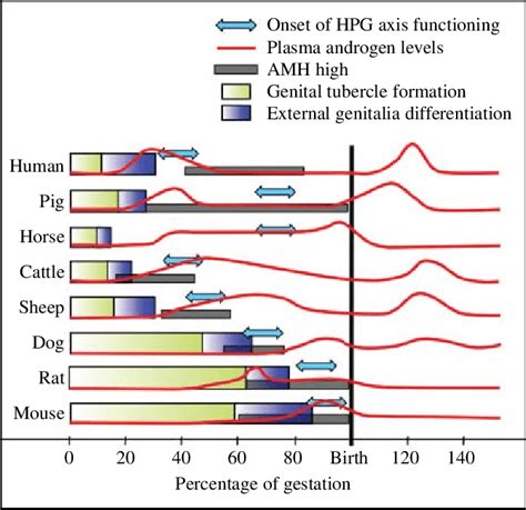 Schematic Representation Summarizing Species Differences And Download Scientific Diagram