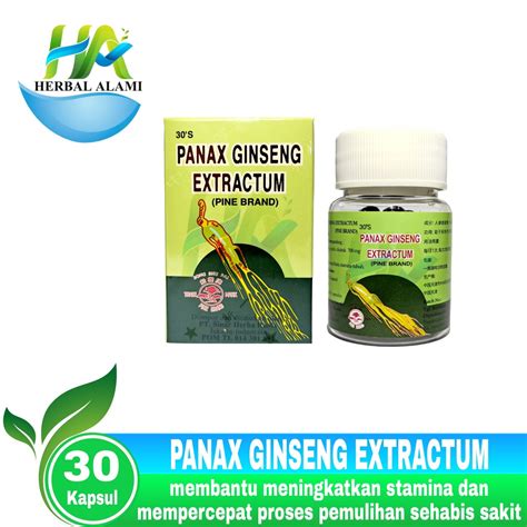 Jual Panax Ginseng Extractum Kapsul Pine Brand Penambah Energi