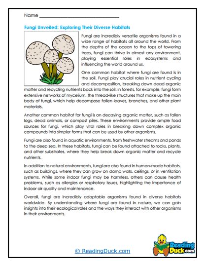 Fungi Reading Comprehension Worksheets