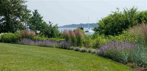 Ornamental Grasses Ornamental Grasses Grass Garden Borders