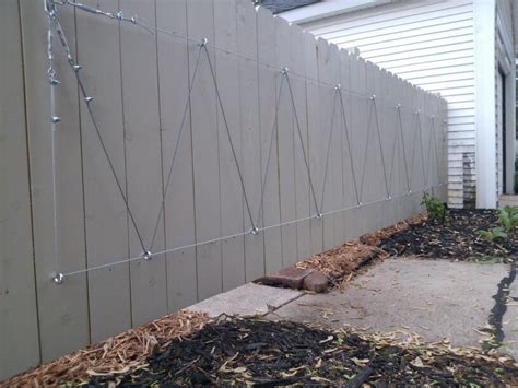 This Weekends Projectwire Trellis Trellis Plants Wire Trellis