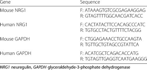 Gene Specific Primer Sequences Download Table