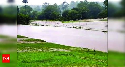 Karnataka Crop Losses Follow Record July Sowing Bengaluru News