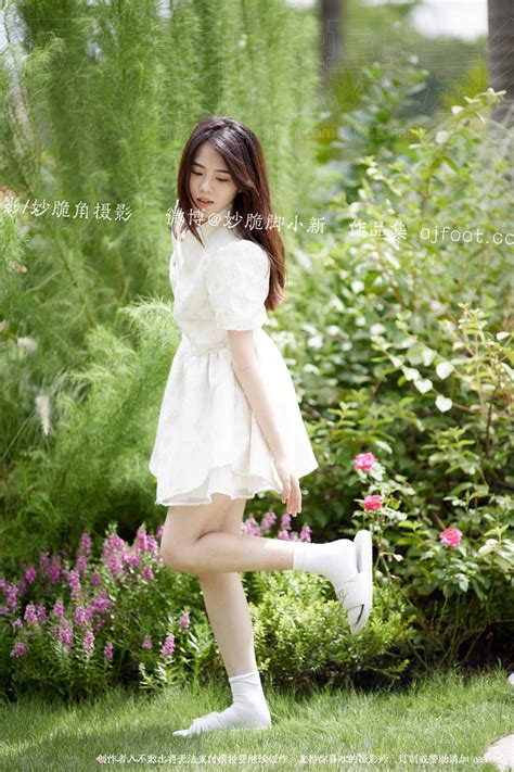 见新摄影 No026 花有从开日，人无再少年 章鱼资源网