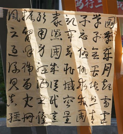 【财经学院】翰墨飘香迎校庆，传承书法展风采 财经分院 成都职业技术学院