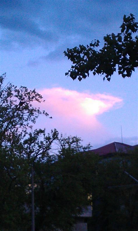 Sofia Sky 9 By Lightgriffin On Deviantart