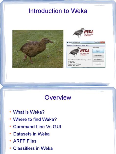 Introduction To Weka Pdf Statistical Classification Data Mining