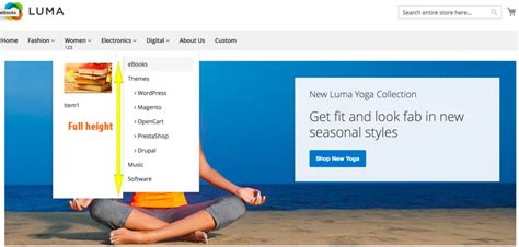 How To Set A Submenu In Multiple Positions Using Ninja Menus Magezon