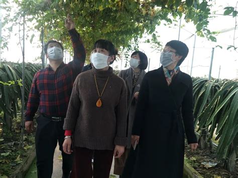 金华市妇联党组书记严小俊带队到金东指导企业复工复产澎湃号·政务澎湃新闻 The Paper