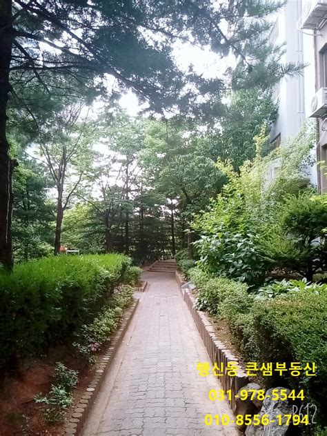 고양시 행신동 샘터마을2단지 아파트 매매 205동 14층 25평 씽크대 신발장 화장실 수리 2억4천5백만원 12월 중순 이후 네이버 블로그