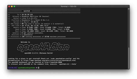 OpenHABian OpenHAB