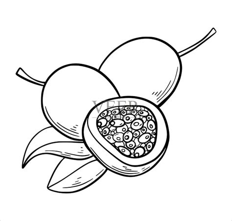 百香果插画图片素材 花瓣网