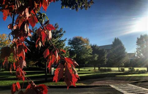 Mohawk Valley Community College On Linkedin Its A Beautiful Fall Day