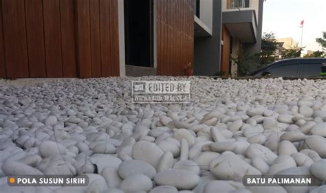 Indahnya Koral Kupang Putih Untuk Taman JUAL BATU ALAM MURAH