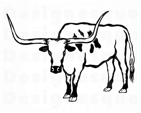 Texas Longhorn 2 Svg Cattle Svg Texas Longhorn Clipart Etsy