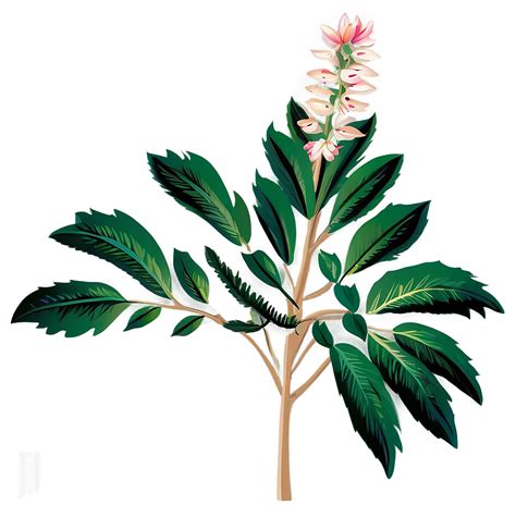 Download Traditional Botanical Print Png Hii