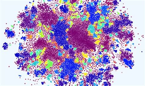 【机器学习】聚类算法dbscan，不用事先指定列别 Csdn博客