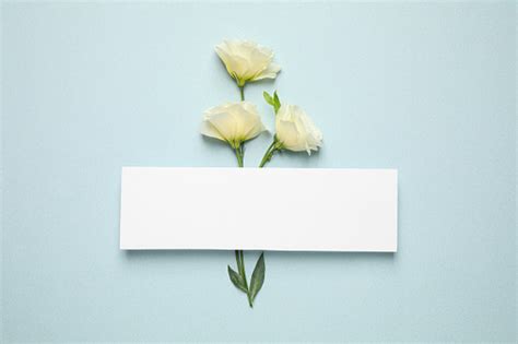 아름다운 흰색 유스토마 꽃과 카드 와 빛 배경에 텍스트에 대한 공간 평면 평지 0명에 대한 스톡 사진 및 기타 이미지 0명