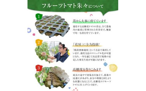 フルーツトマト 朱々 Mサイズ 計1kg・16 18玉 M 高糖度 糖度 フルーツトマト トマト 野菜 サラダ 大分県 佐伯市 九州産