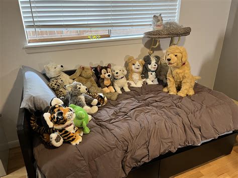 Most Of My Plushies Rplushiecorner