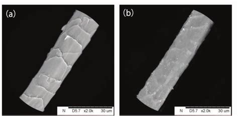 The Surface Morphology Of Wool Fi Ber A Untreated Wool Fi Ber B